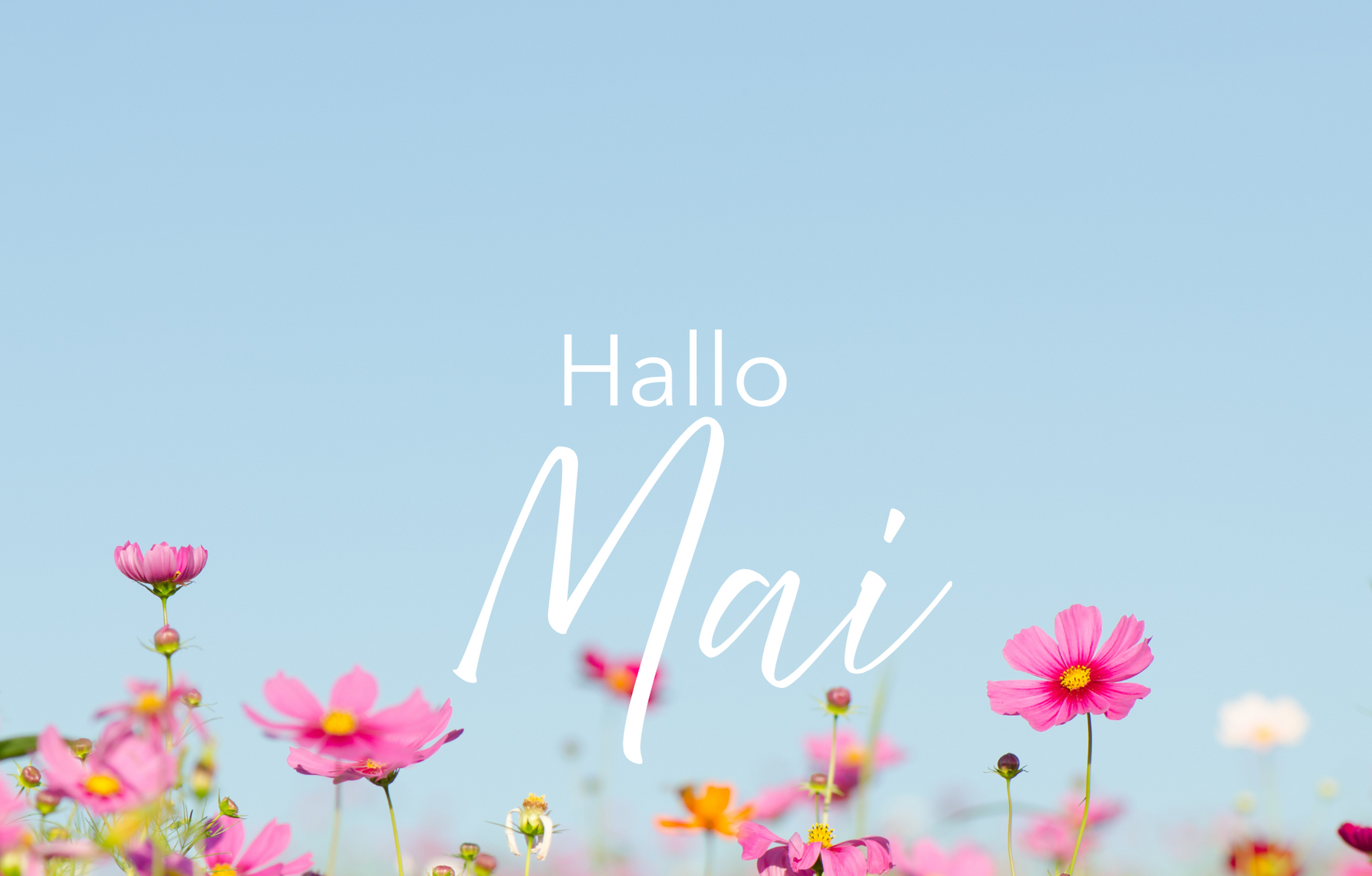 Nährstoffkosmetik auf Basis von kaltgepressten Bio-Wirkölen – Relight ...